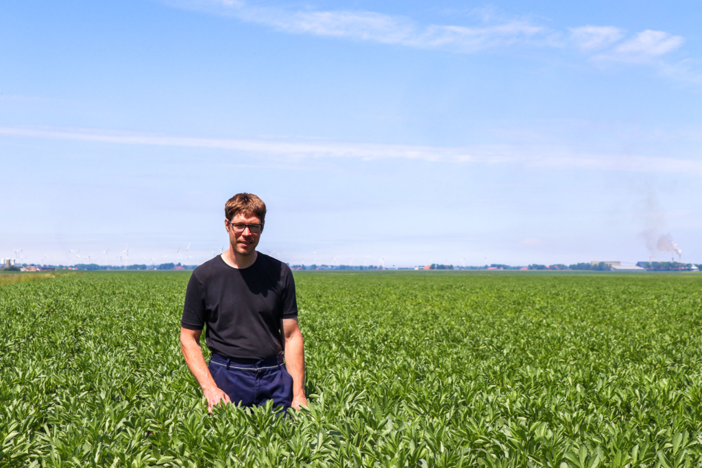 De opmars van de veldboon - Veerle Boekestein